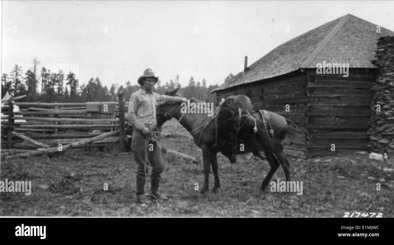 A black-and-white historical photograph of people on a horse ranch ...
