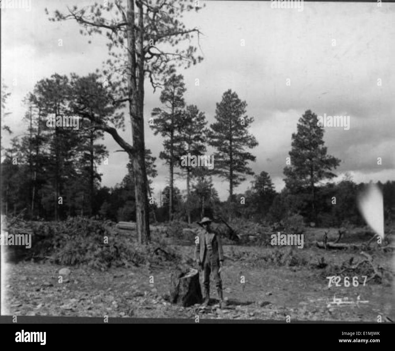 A black-and-white photograph depicting people working with timber in a ...