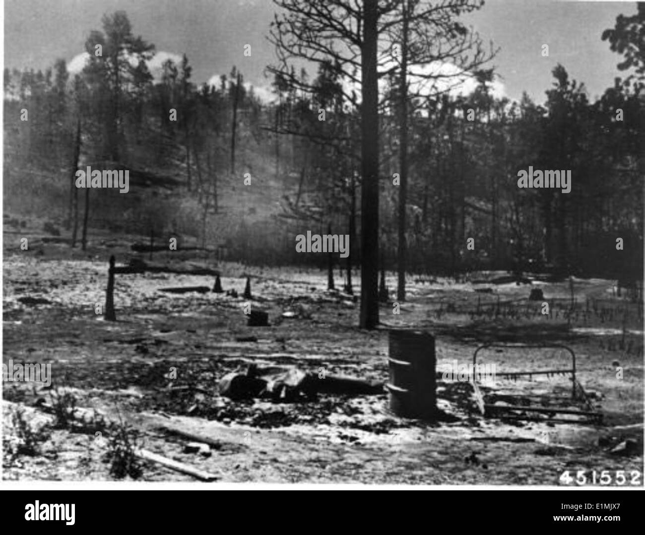 This black-and-white image captures the aftermath of a forest fire in a ...