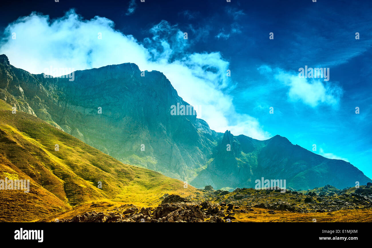 High saturated colors hi-res stock photography and images - Alamy