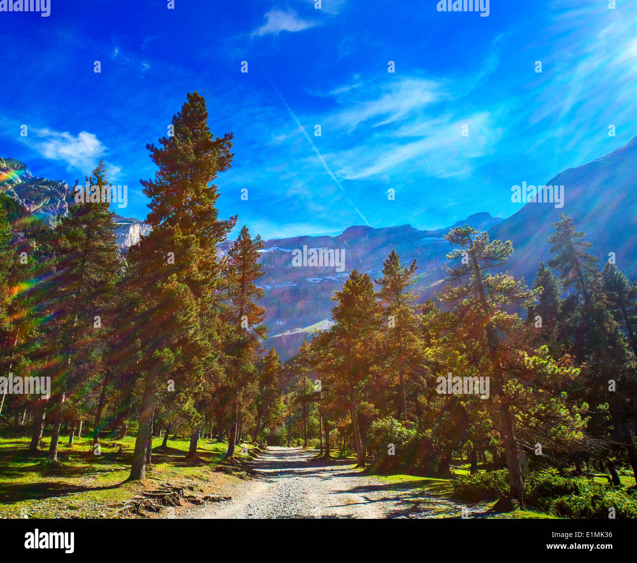 Sunlight effect hi-res stock photography and images - Alamy
