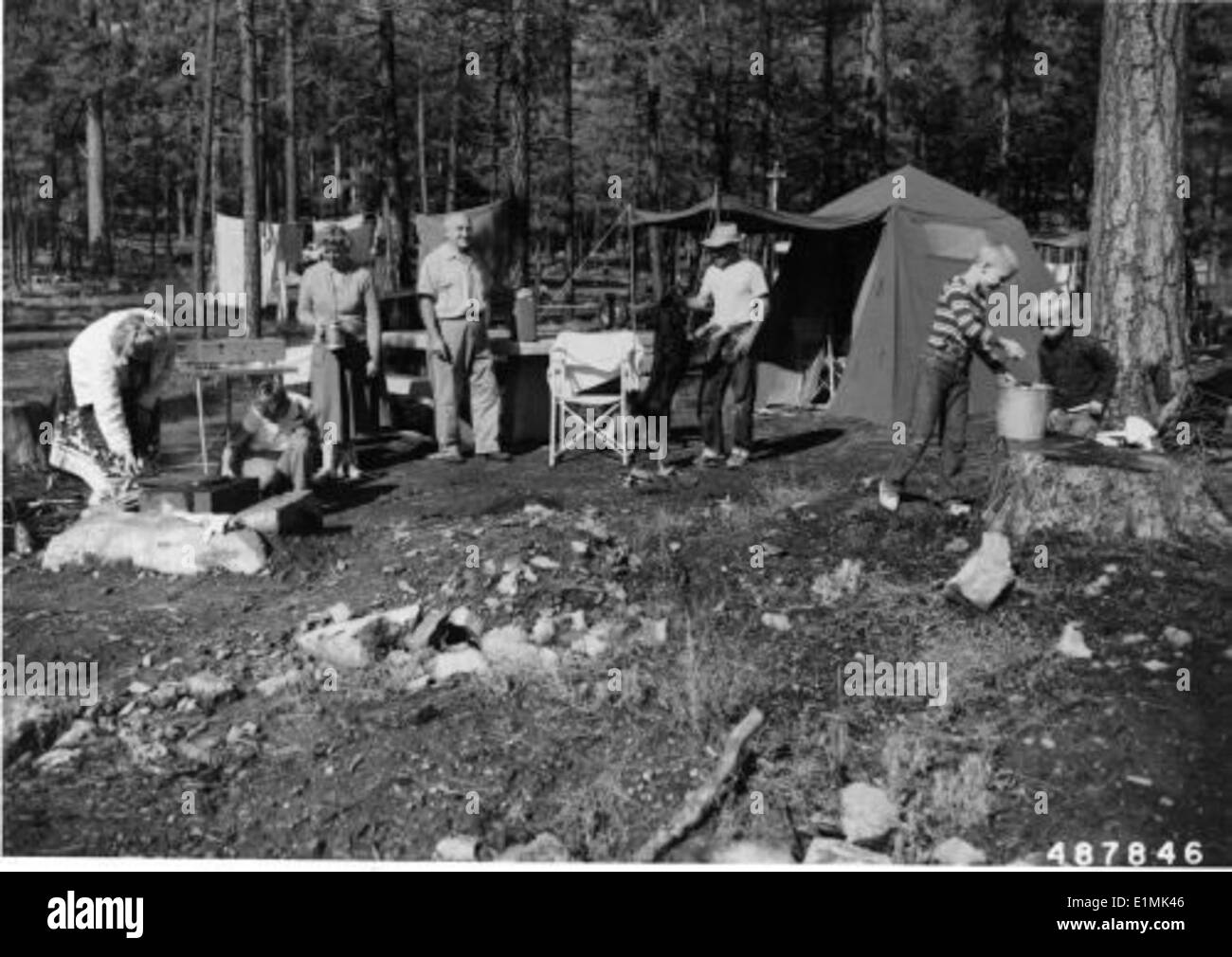 Deer in ecosystem Black and White Stock Photos & Images - Alamy
