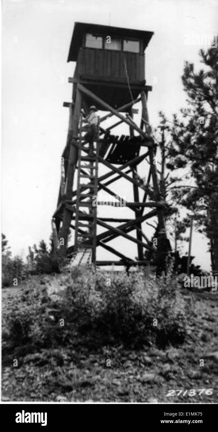 A black-and-white photograph of trees with a lookout tower in the ...