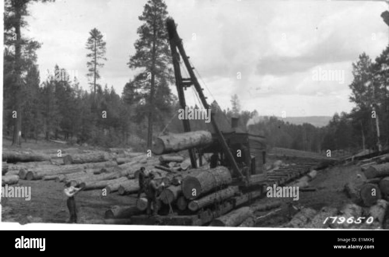 A historic black-and-white image captures the Carson National Forest ...