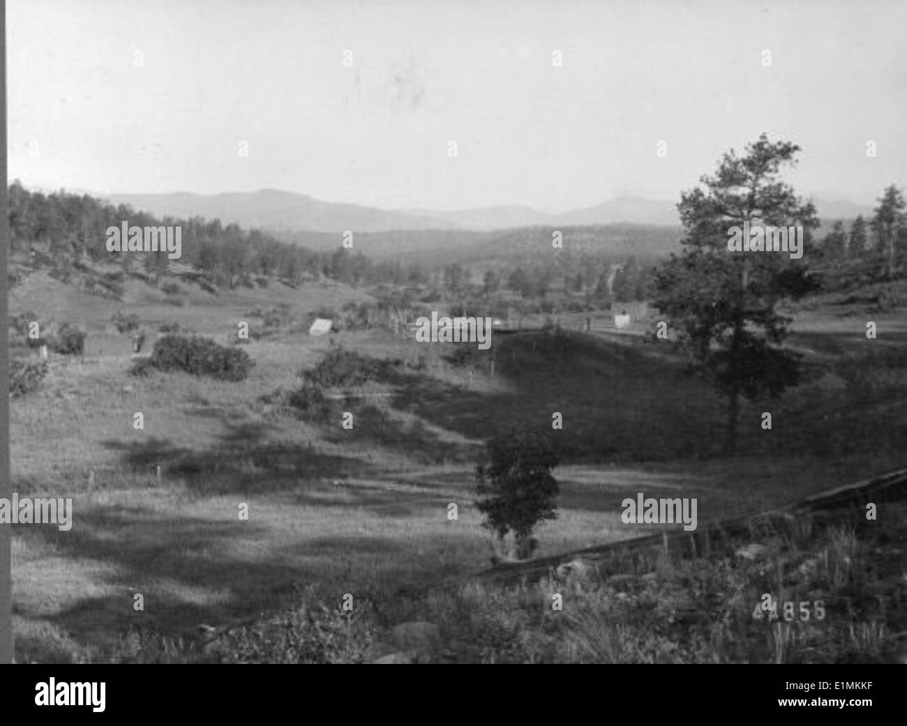 The Carson National Forest in Colorado offers camping experiences ...