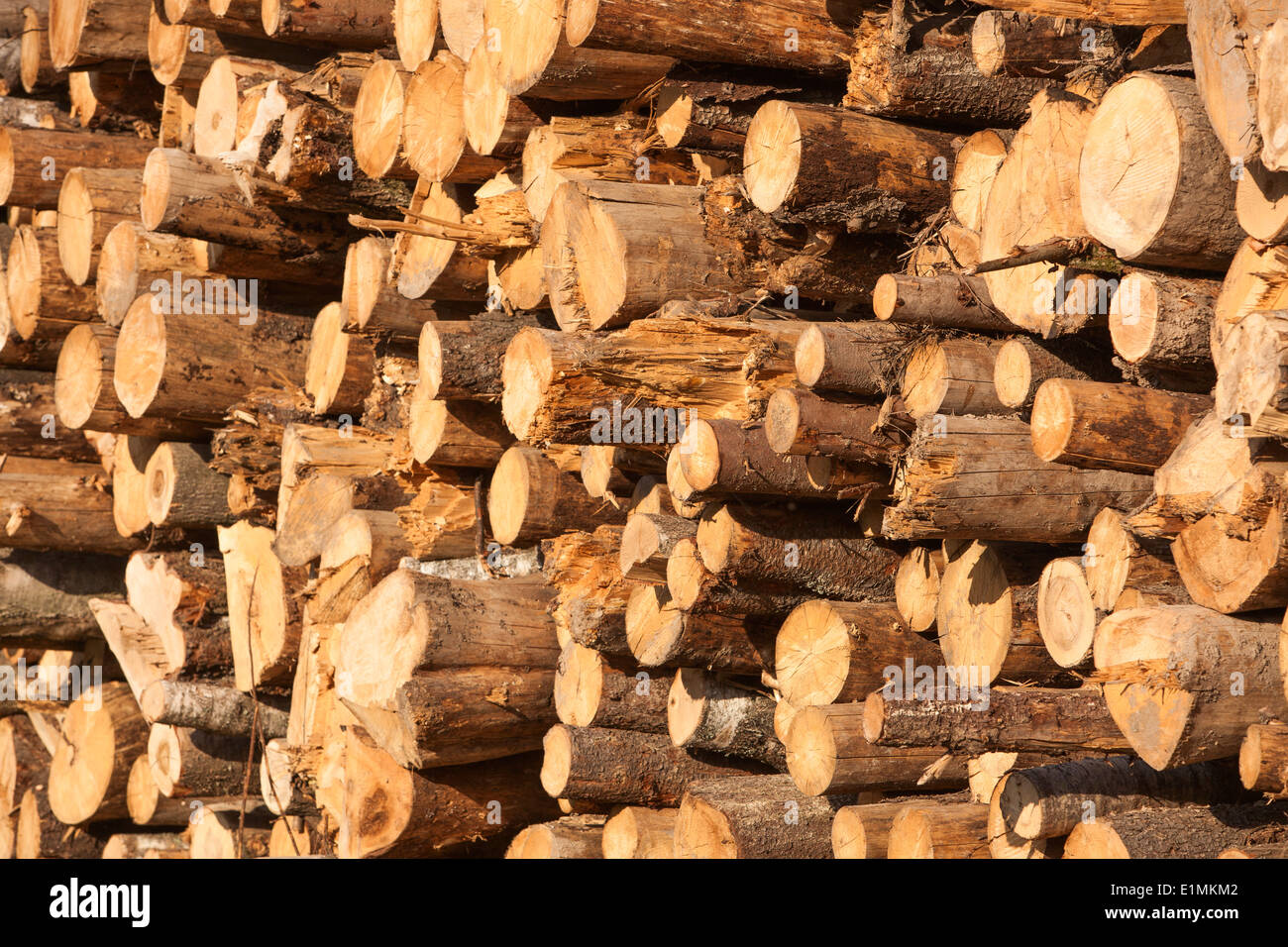 Light beam cutting hi-res stock photography and images - Alamy