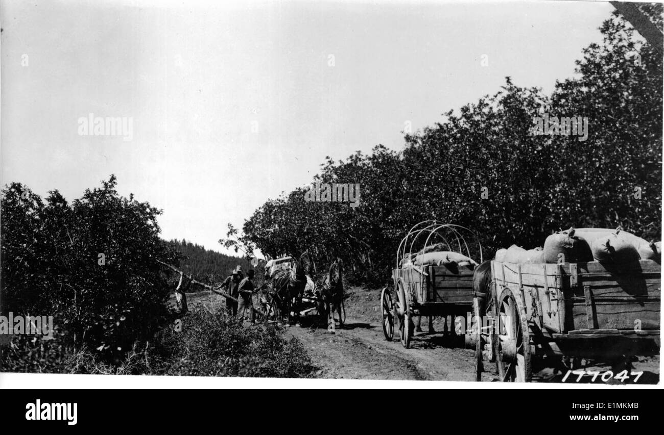 Historic rio Black and White Stock Photos & Images - Alamy