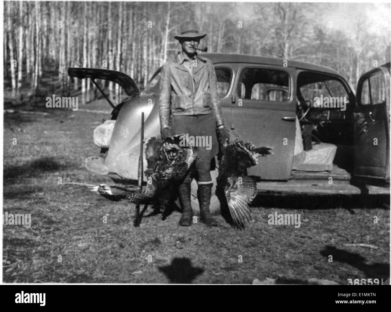 Biodiversity glimpse Black and White Stock Photos & Images - Alamy