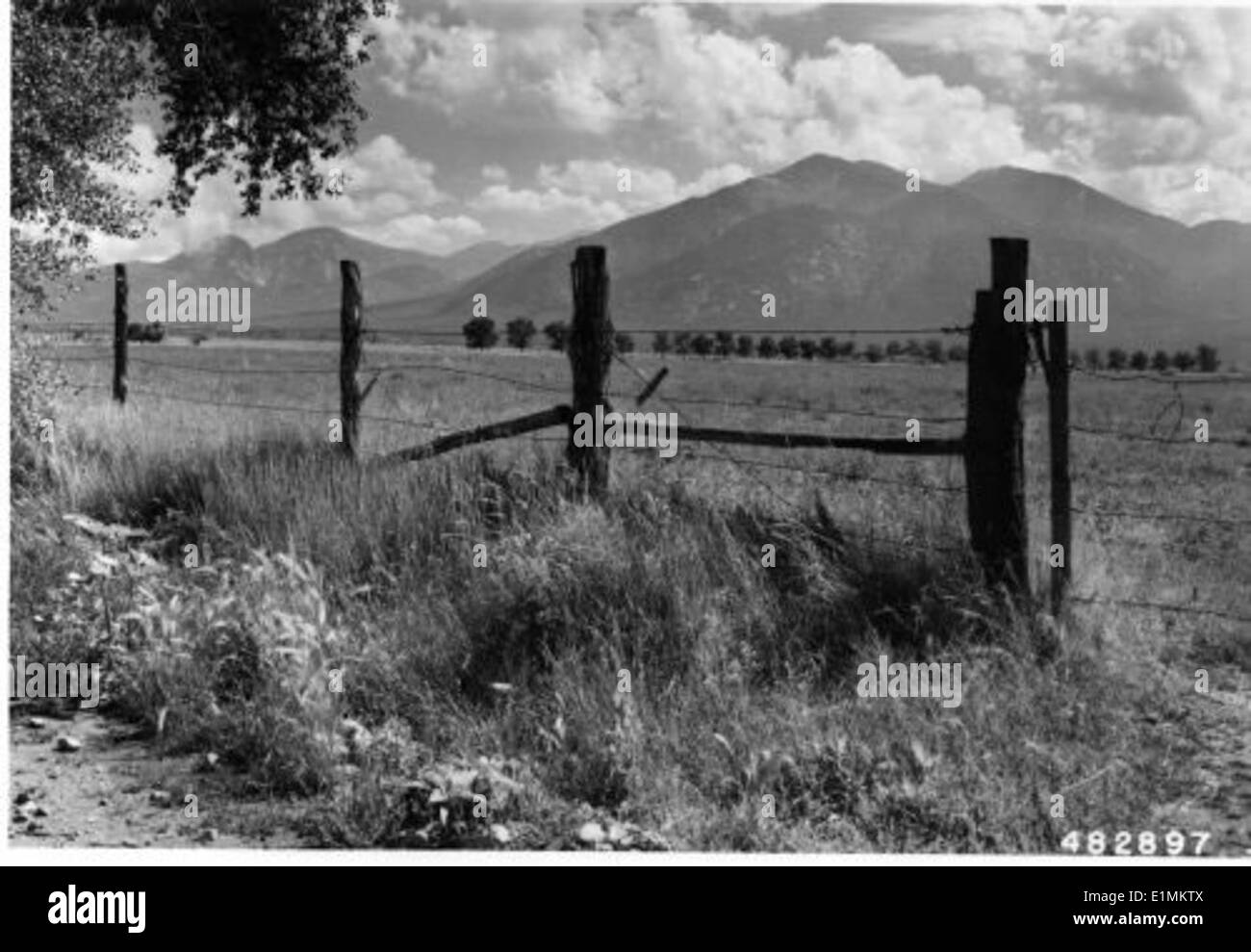The Carson National Forest in Taos is known for its expansive grass ...