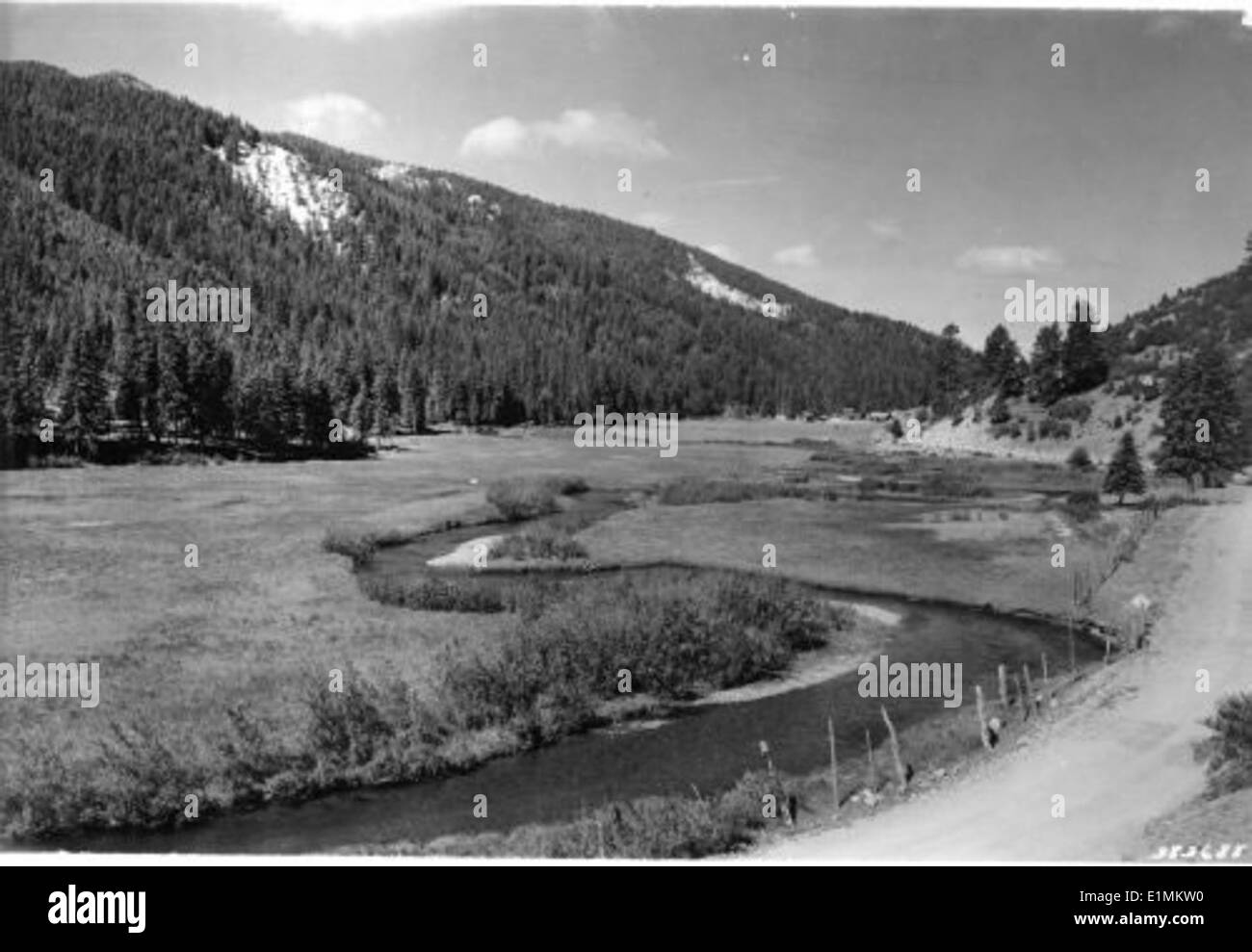 The Carson Forest area features a blend of grasslands, trees, and ...