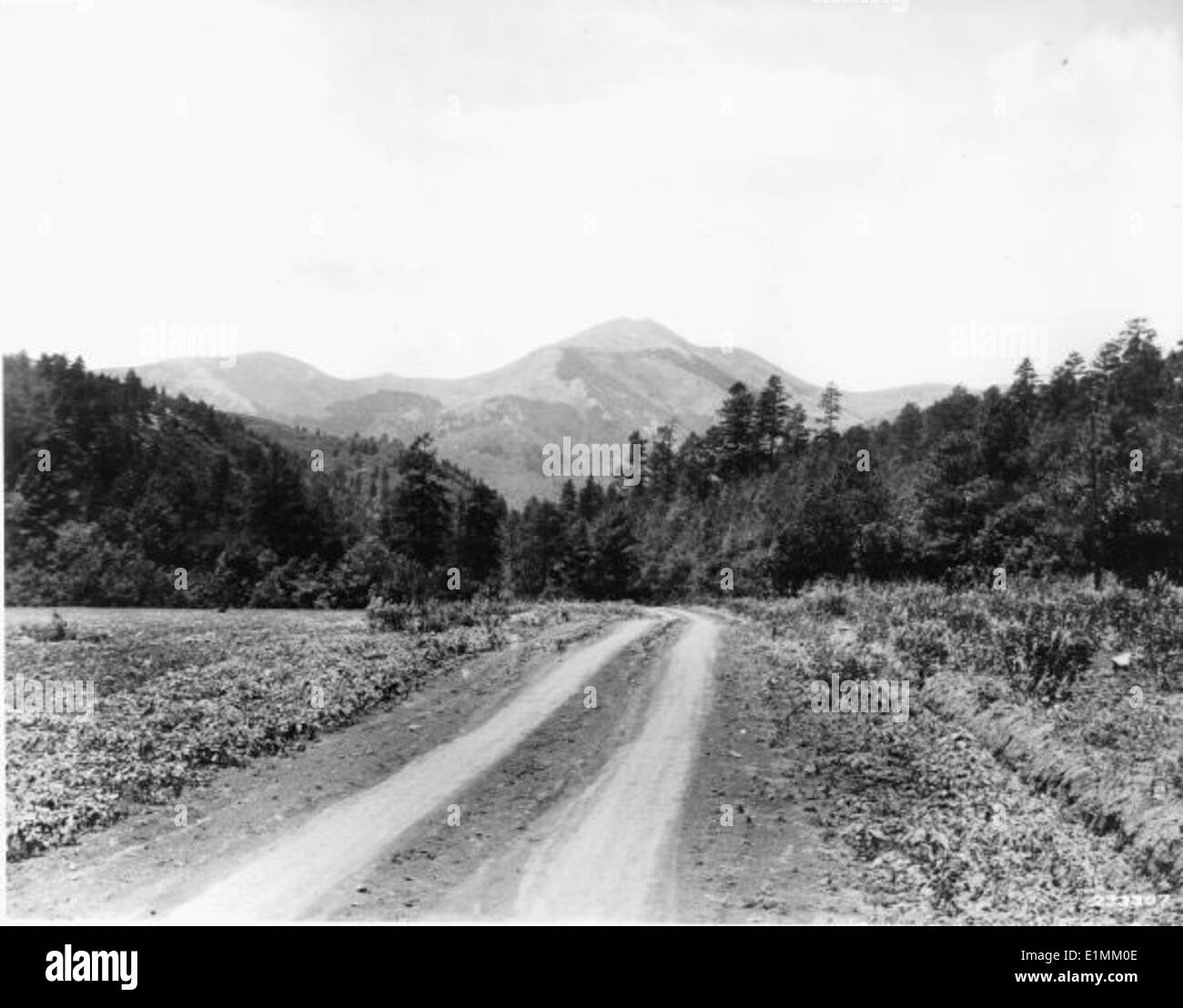 Black white road park Black and White Stock Photos & Images - Alamy