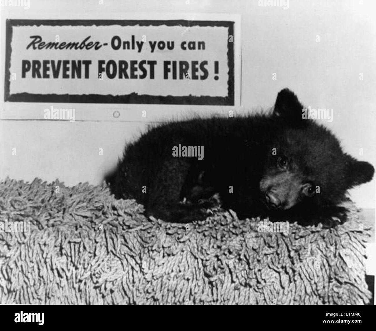 Conservation wildfire Black and White Stock Photos & Images - Alamy