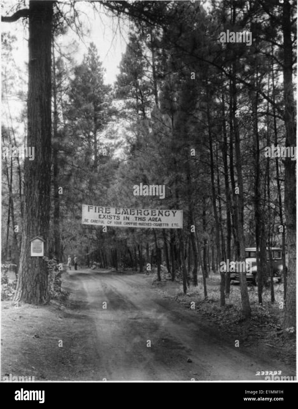National forest road sign Black and White Stock Photos & Images - Alamy