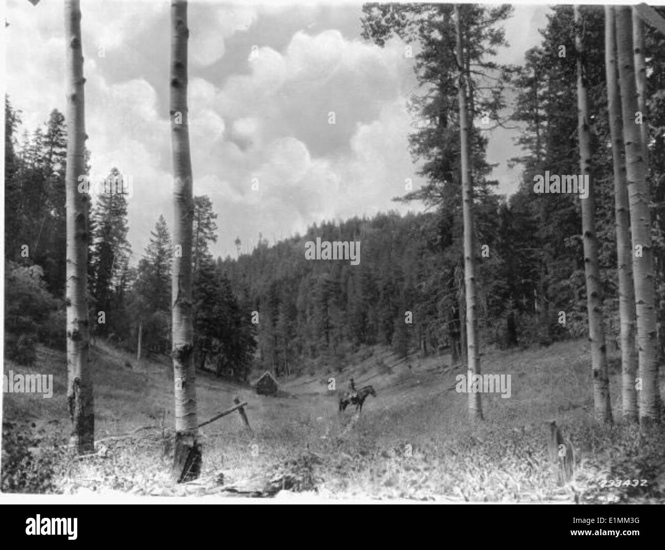 This historic black-and-white photograph depicts the natural landscape ...