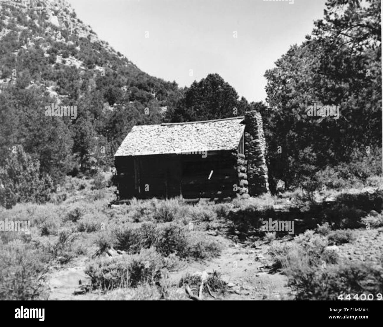 The Kaibab National Forest in Arizona features diverse tree species and ...