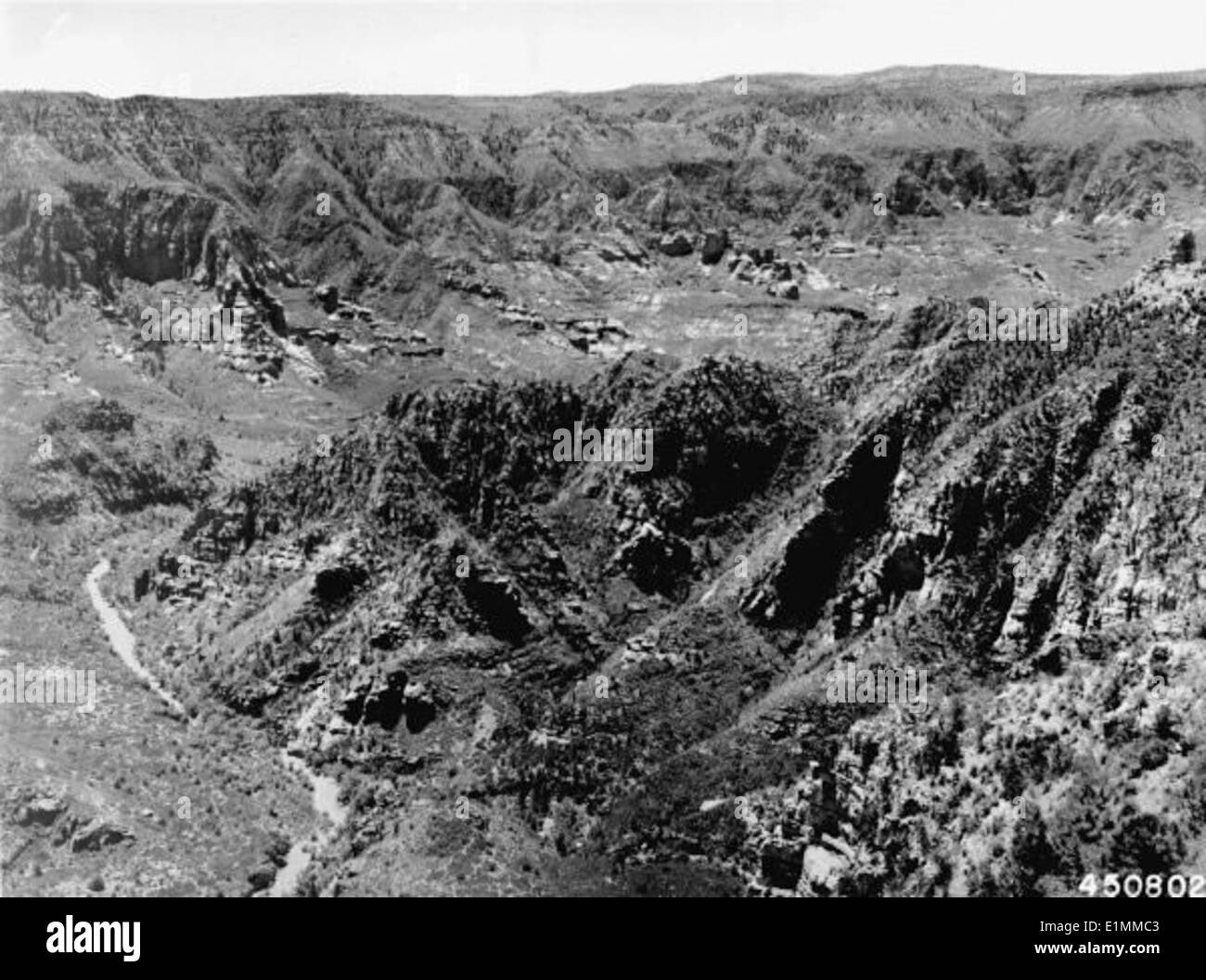 A black and white historical image depicting the Kaibab National Forest ...