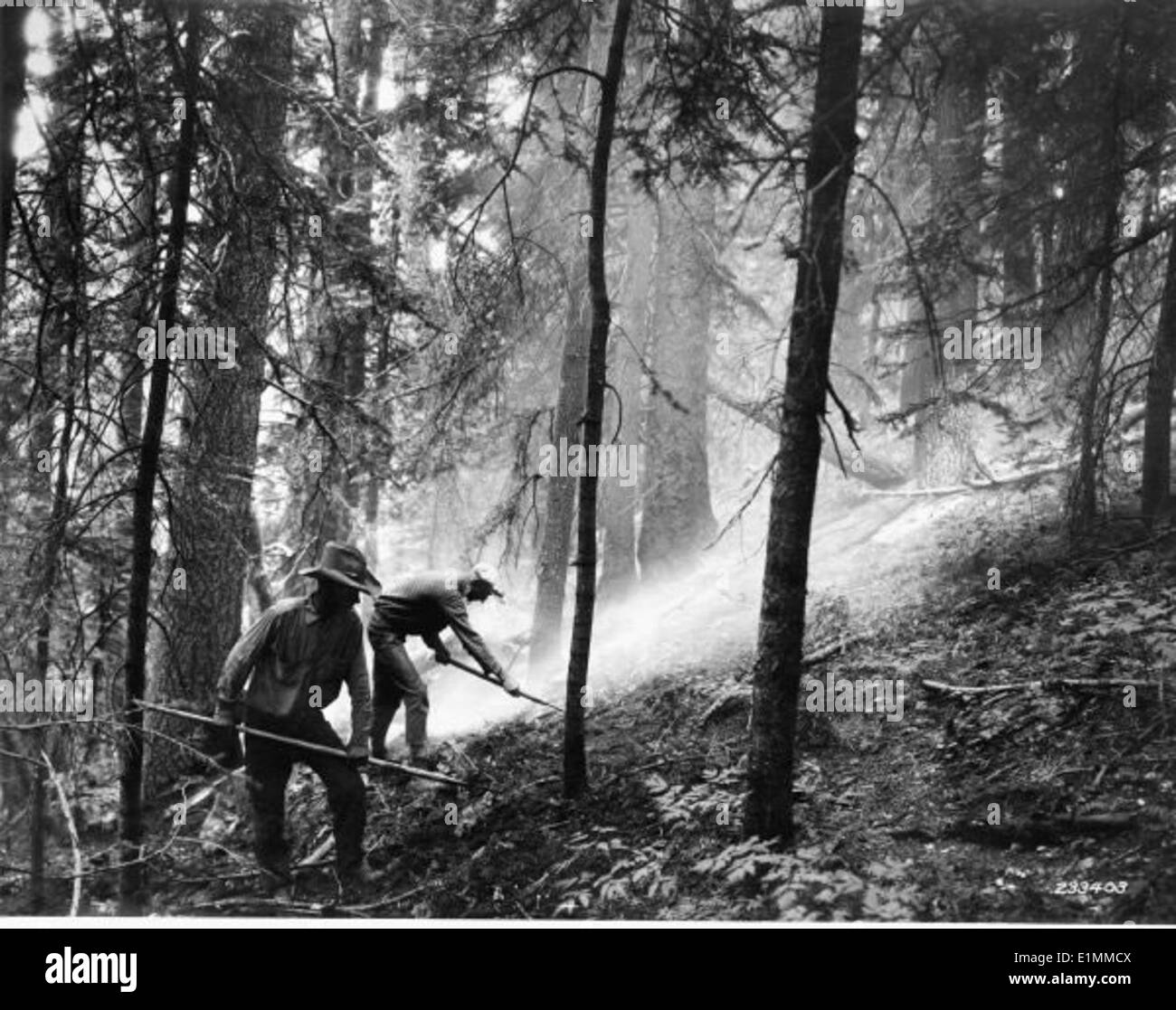 This black-and-white photograph captures people interacting with trees ...