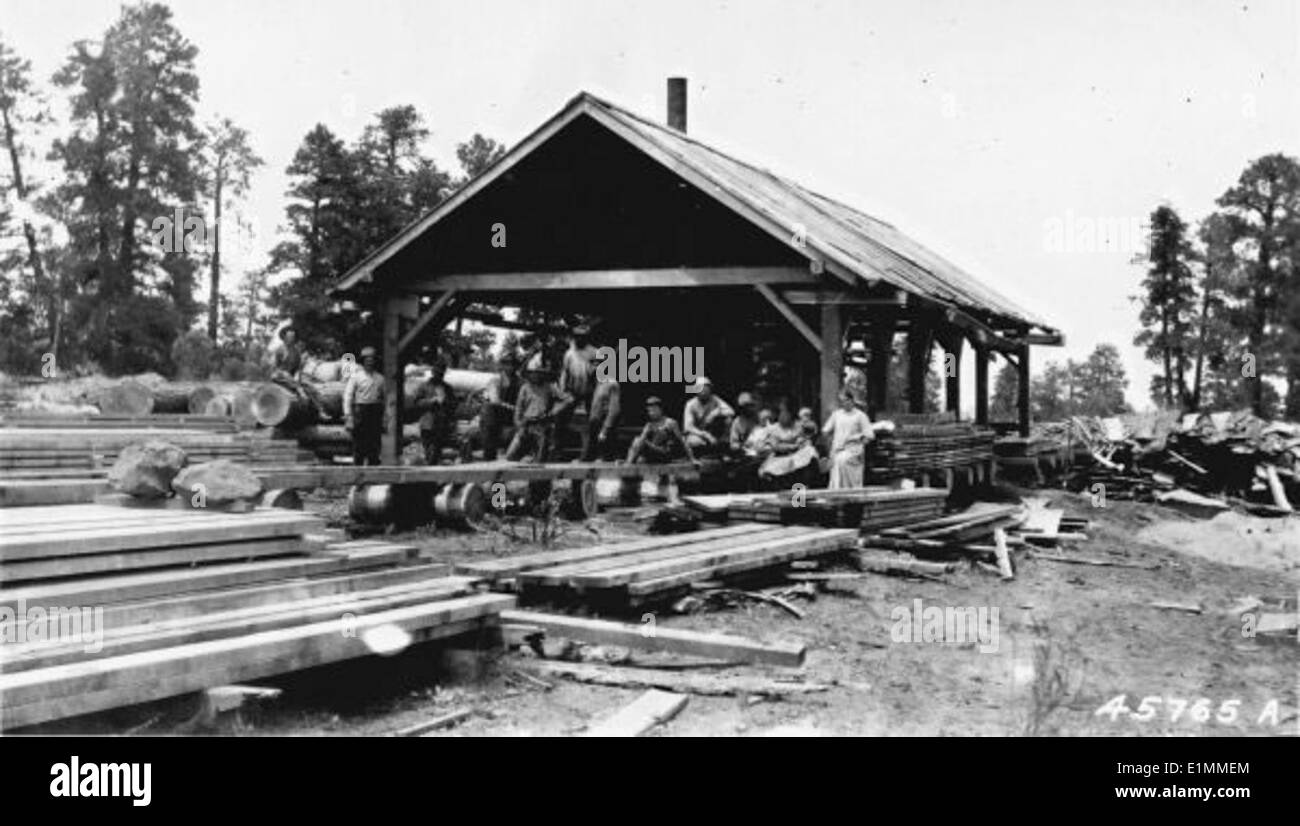 A historic black-and-white photograph showcasing a sawmill operation in ...