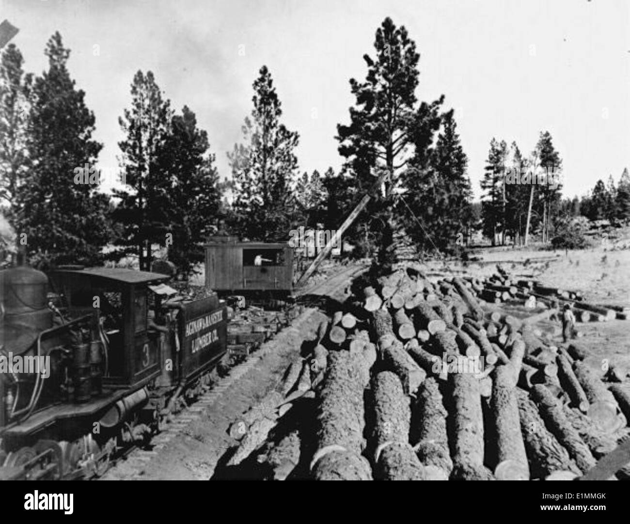 The image depicts historical Kaibab logs, showcasing the logging ...