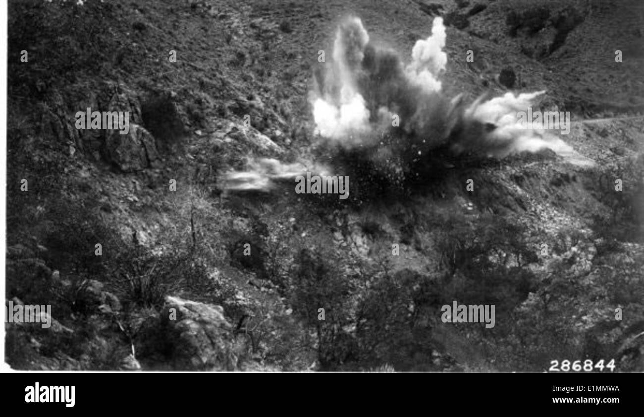 A historic black-and-white photograph of a forest explosion in the ...