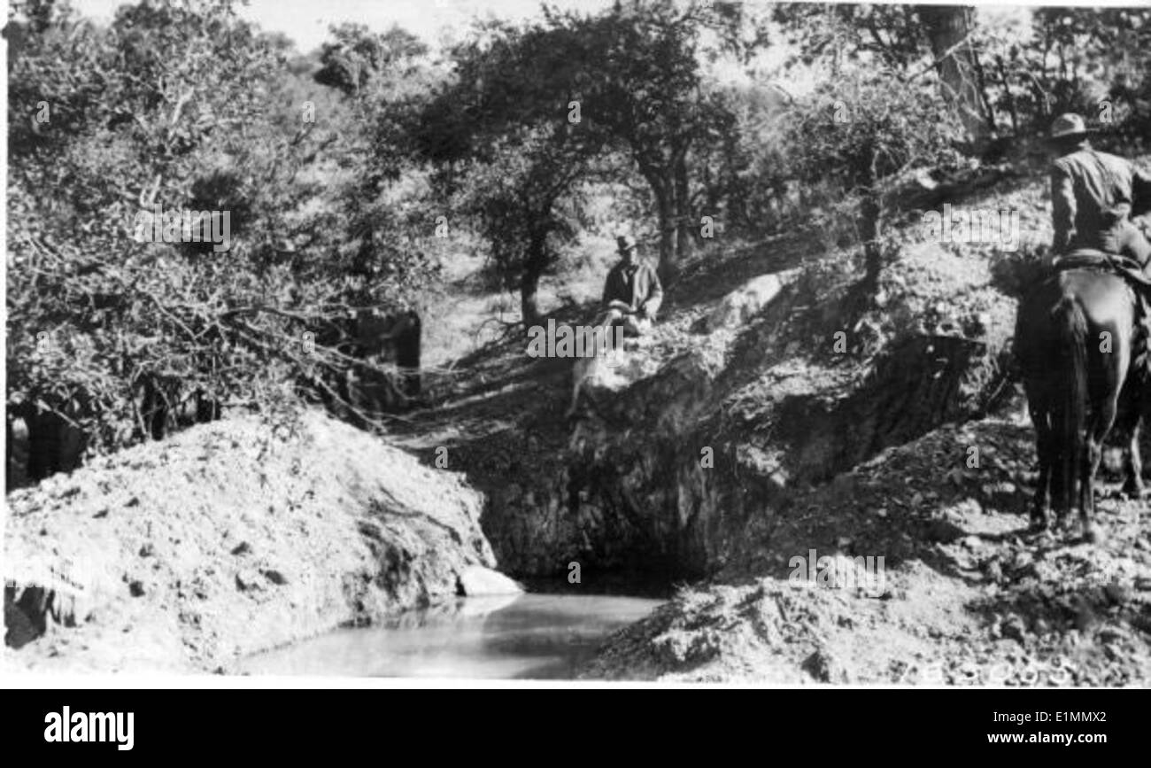 This historic photograph showcases the Clay Forest, where people ...