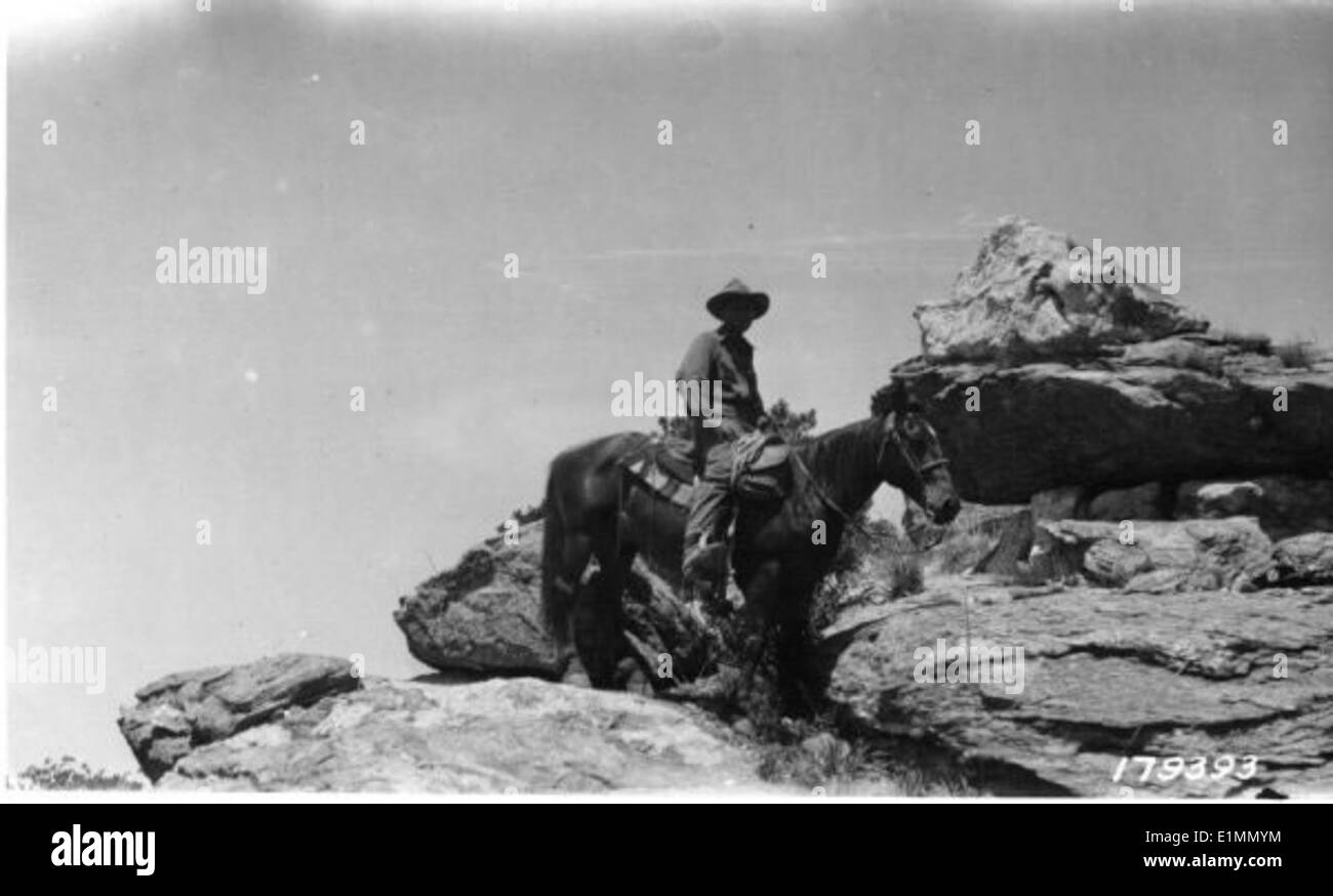 A historic black-and-white photograph of a forest ranger, symbolizing ...