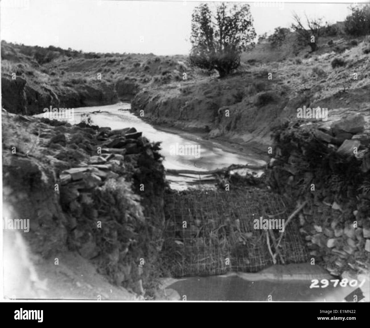 Disruption of habitat Black and White Stock Photos & Images - Alamy