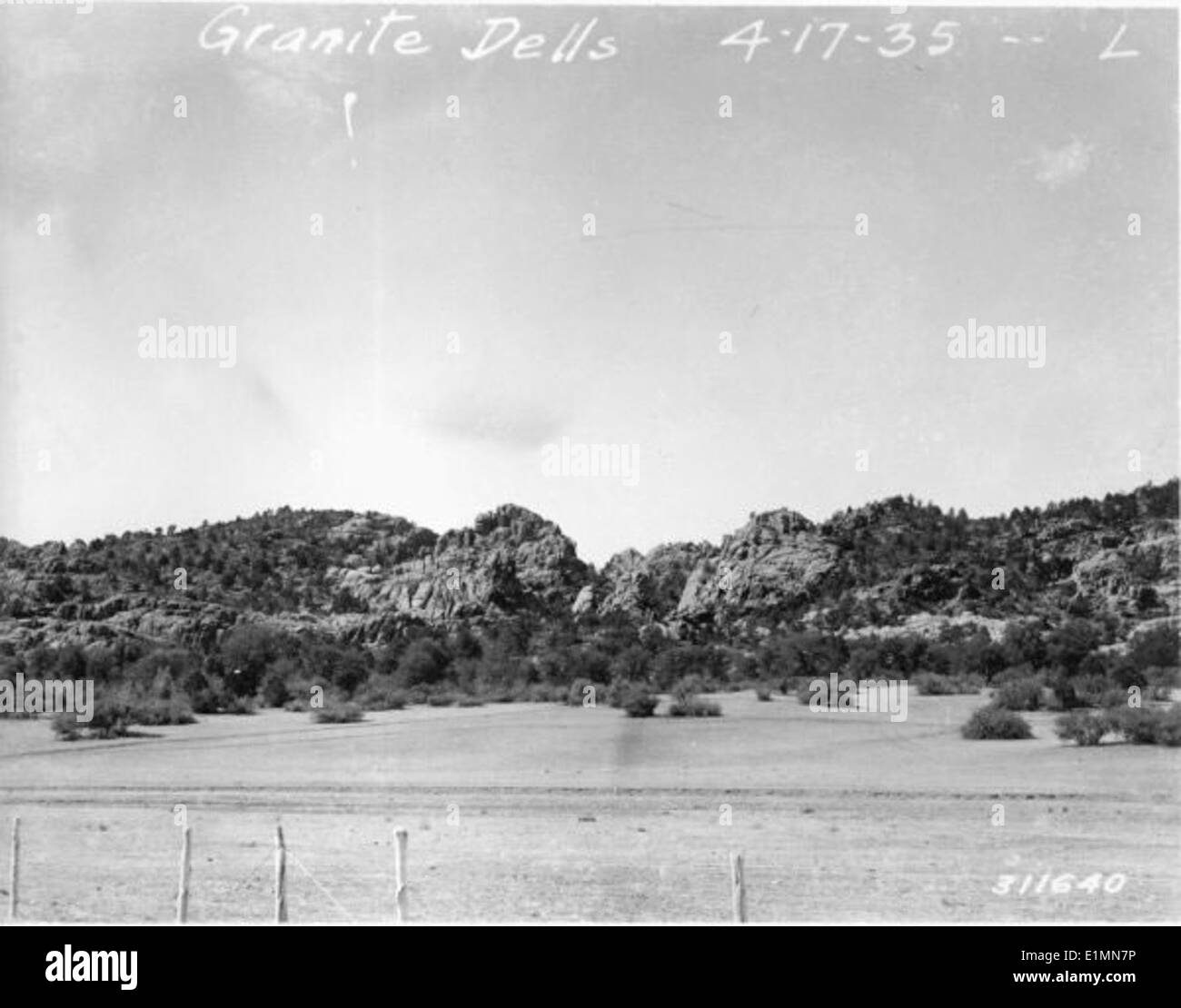 A historic black-and-white image of the Prescott Forest landscape ...