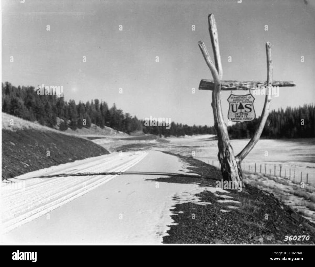 Snow covered forest landscape during Black and White Stock Photos ...