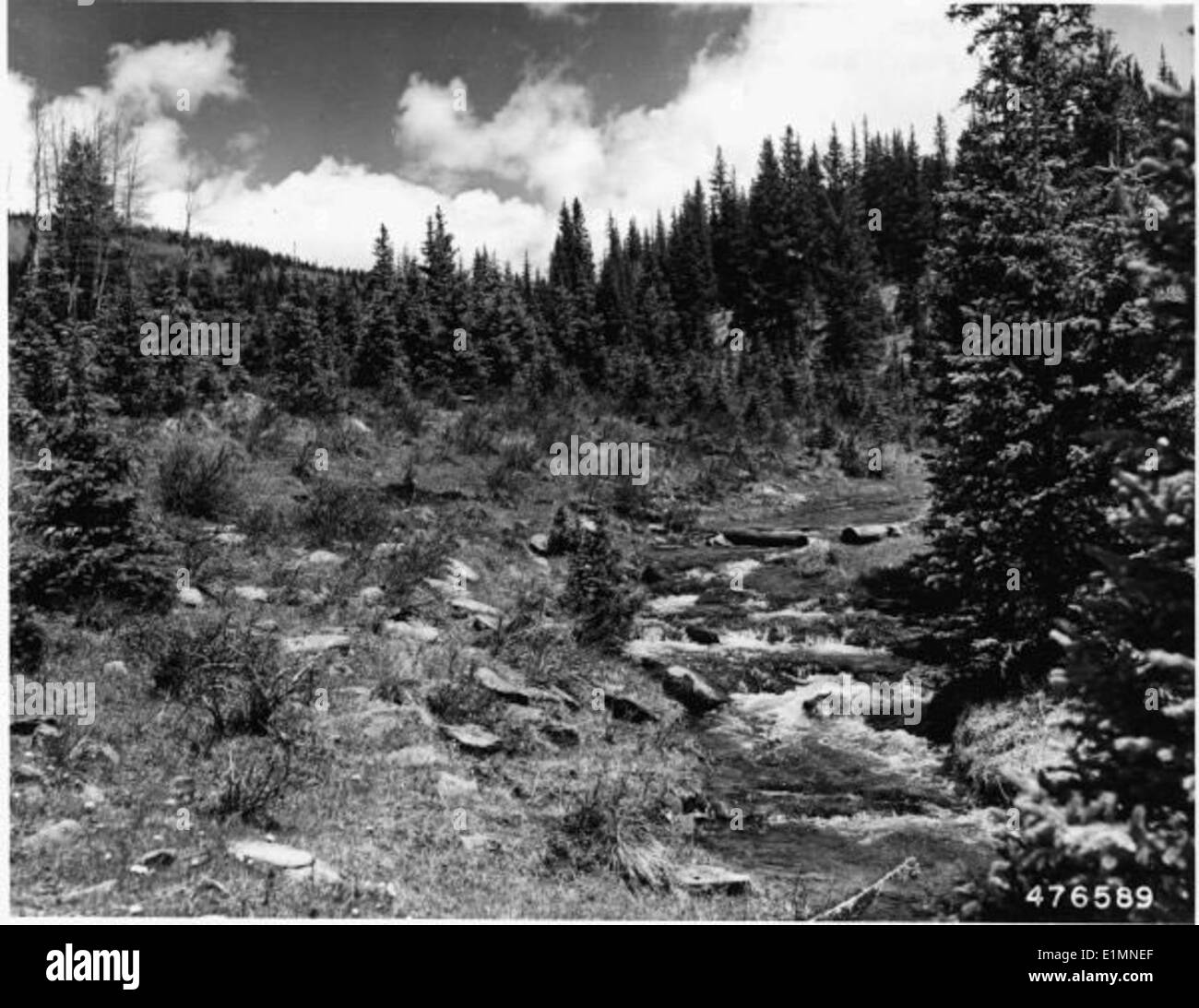 Canyon Creek, located in the Santa Fe National Forest, offers a ...