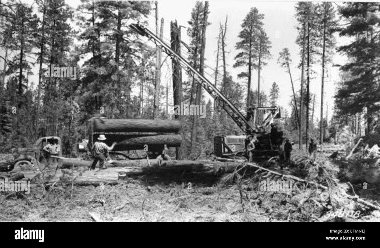 A black-and-white historic image of forest workers in Santa Fe ...