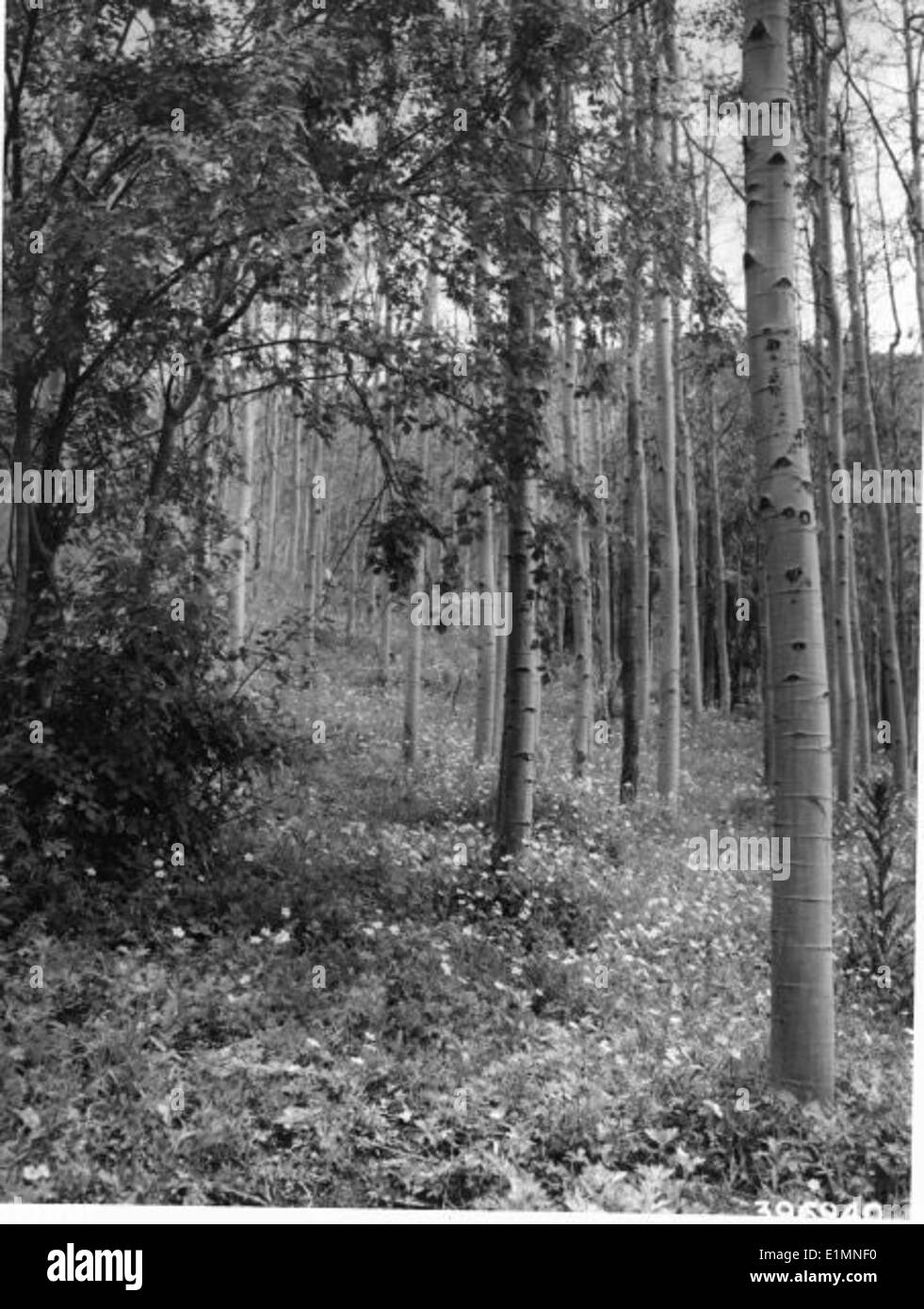 At rich mix Black and White Stock Photos & Images - Alamy