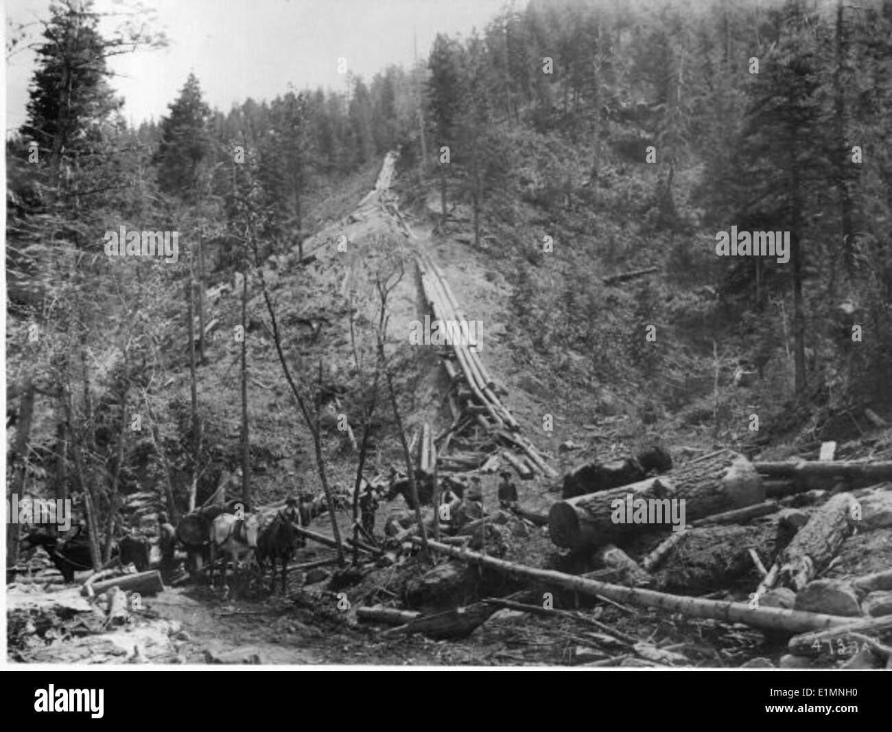 This historical image captures forest workers from the Santa Fe area ...