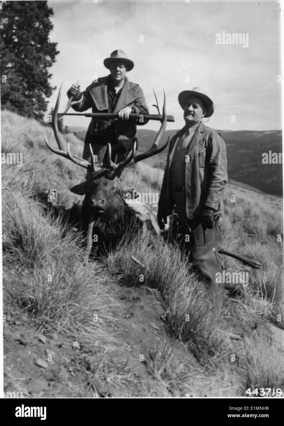 A historic black-and-white photograph captures the relationship between ...
