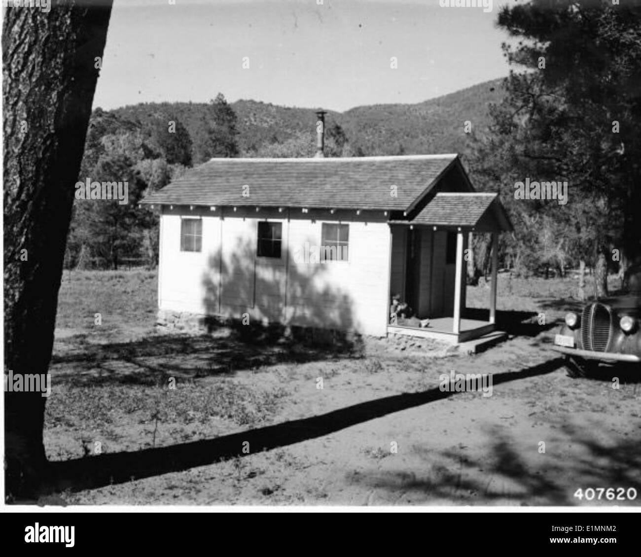 Wild red raspberry (Rubus idaeus) found in Rocky Mountain National Park ...