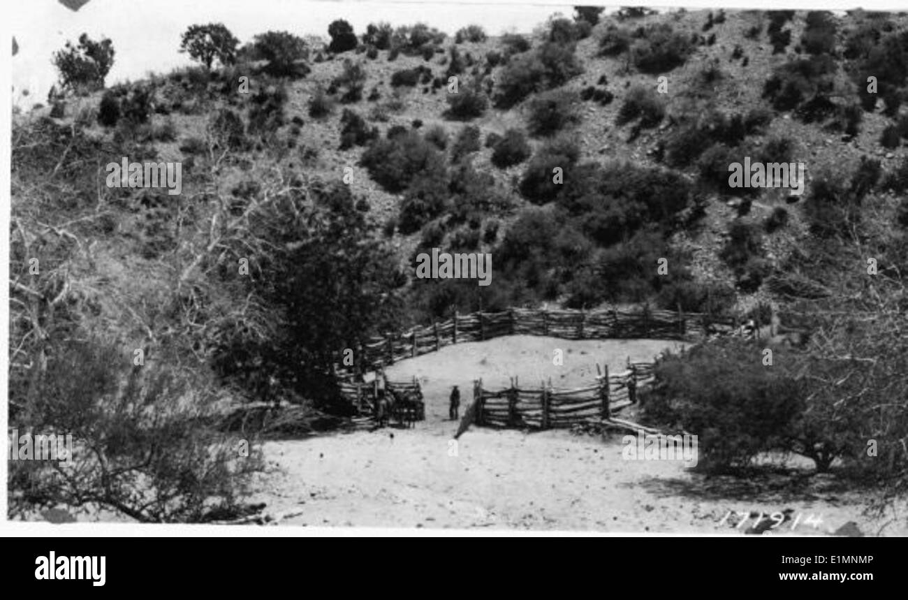 The Bush Forest Landscape captures the essence of natural beauty ...