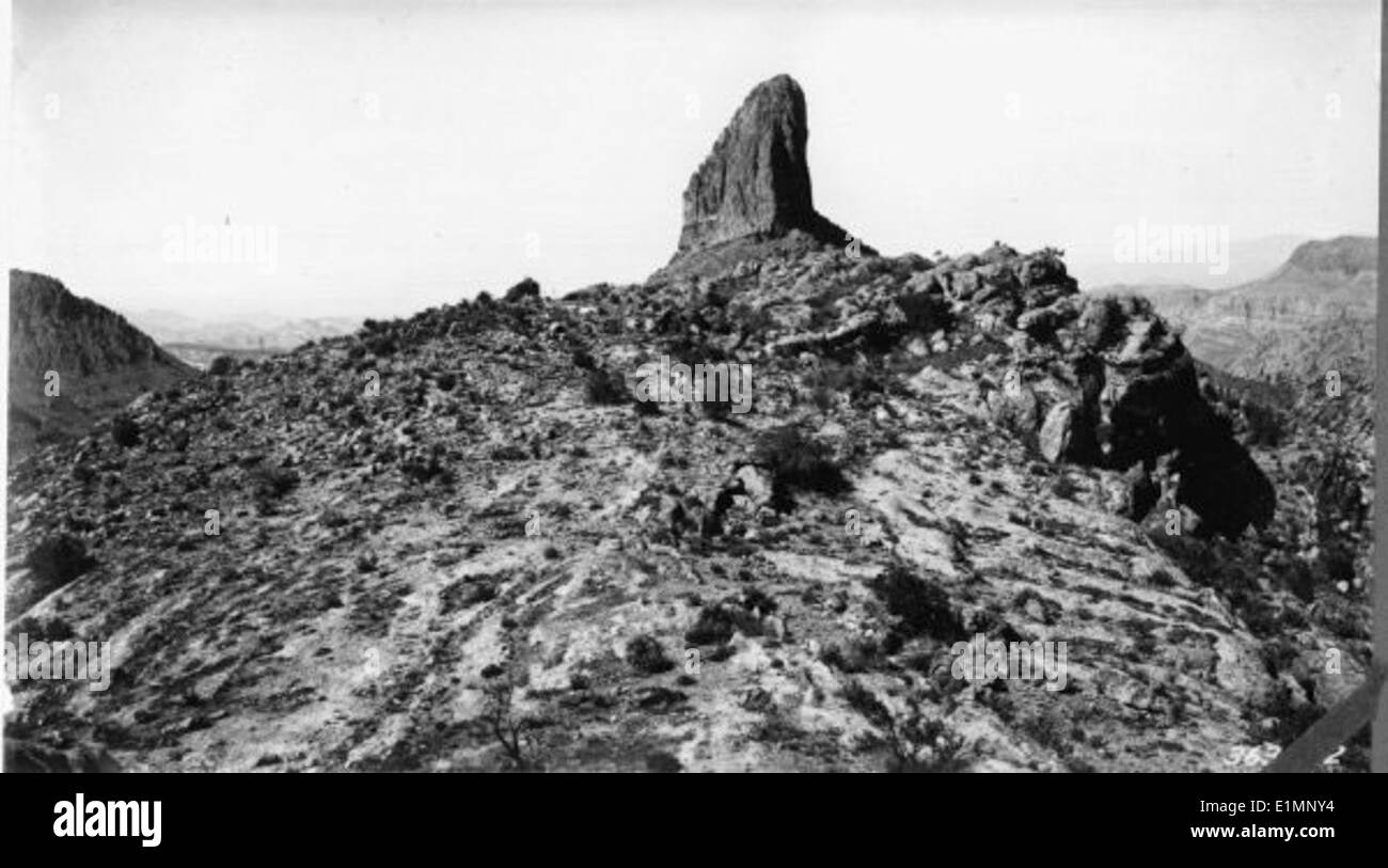 A historic black-and-white photograph showcasing a forest landmark ...