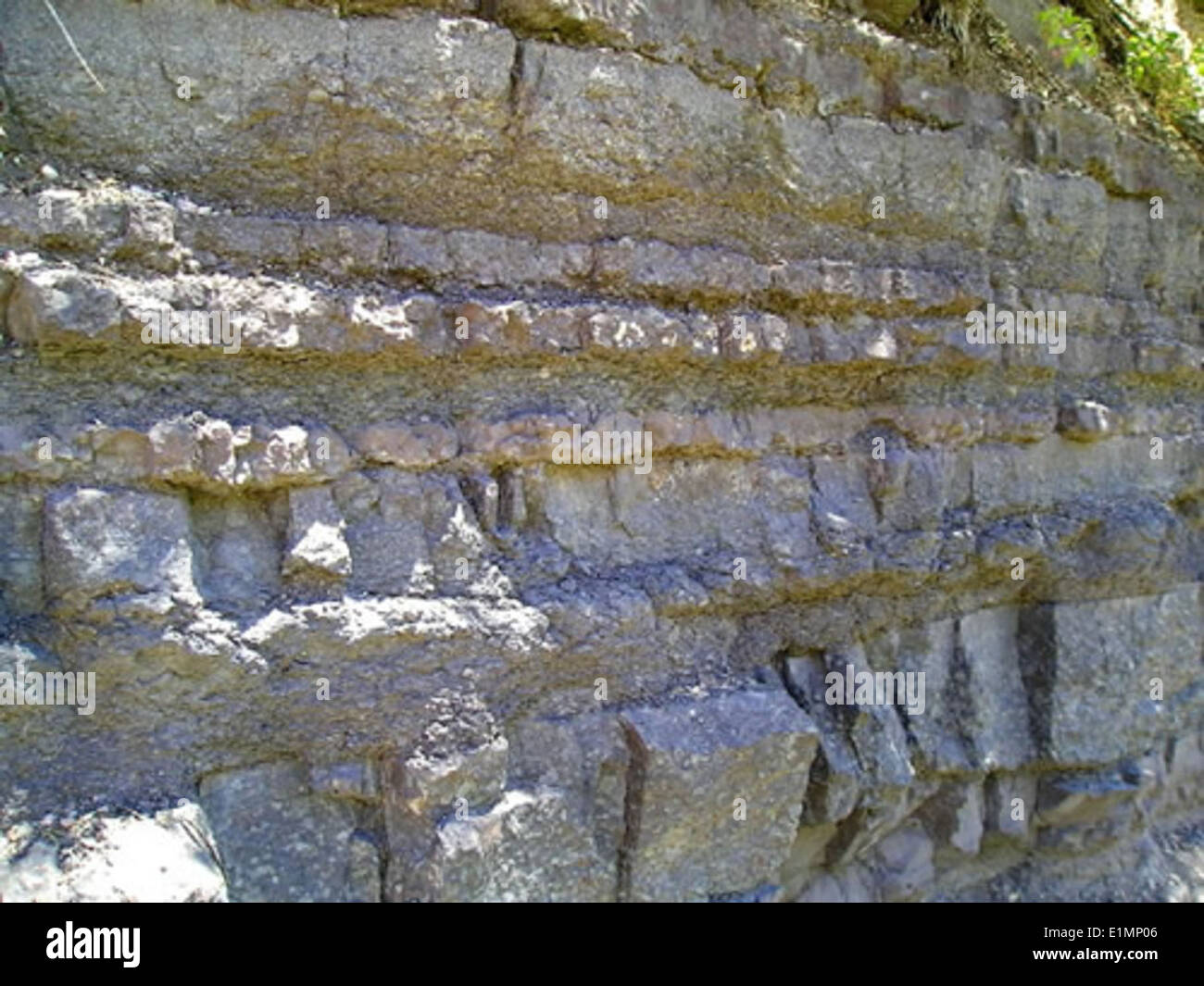 The Thin Andesite formation in the Gila National Forest, located in the ...