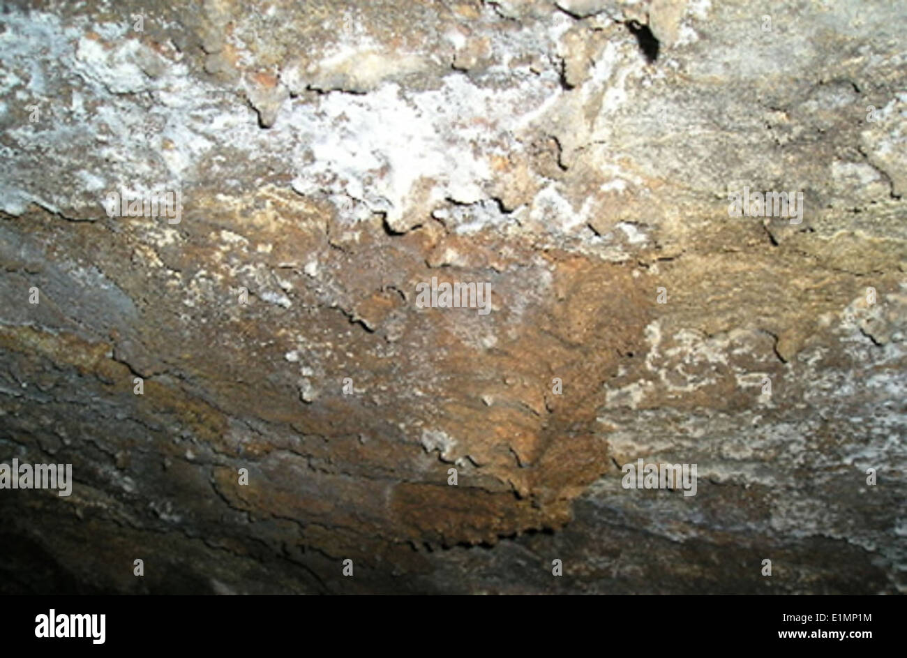 Drips Cave, located in the Coconino District, offers a glimpse into the ...