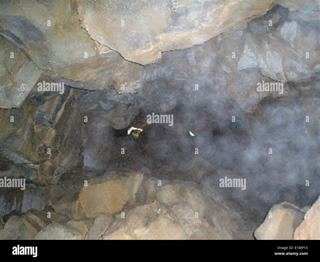 Light filters over Breakdown Cave in the Coconino National Forest ...