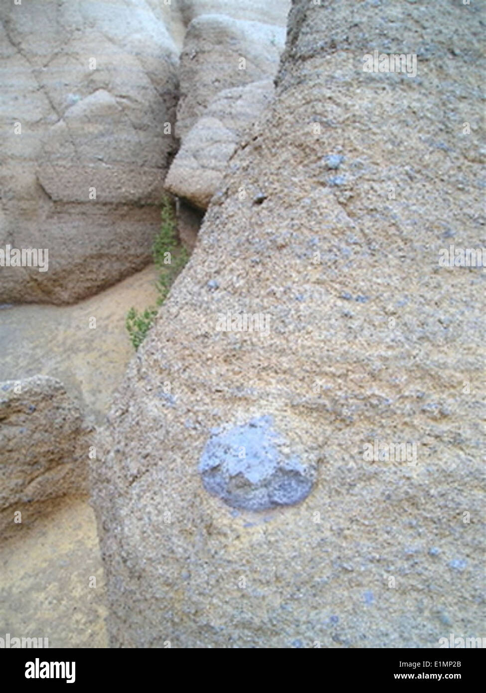 The cinder texture in the Coconino National Forest represents the ...