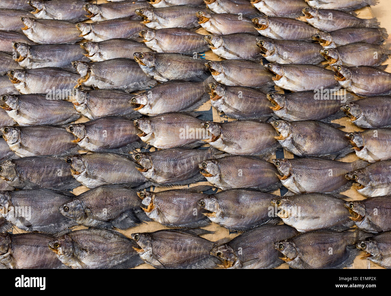 Fish drying sun hi-res stock photography and images - Alamy