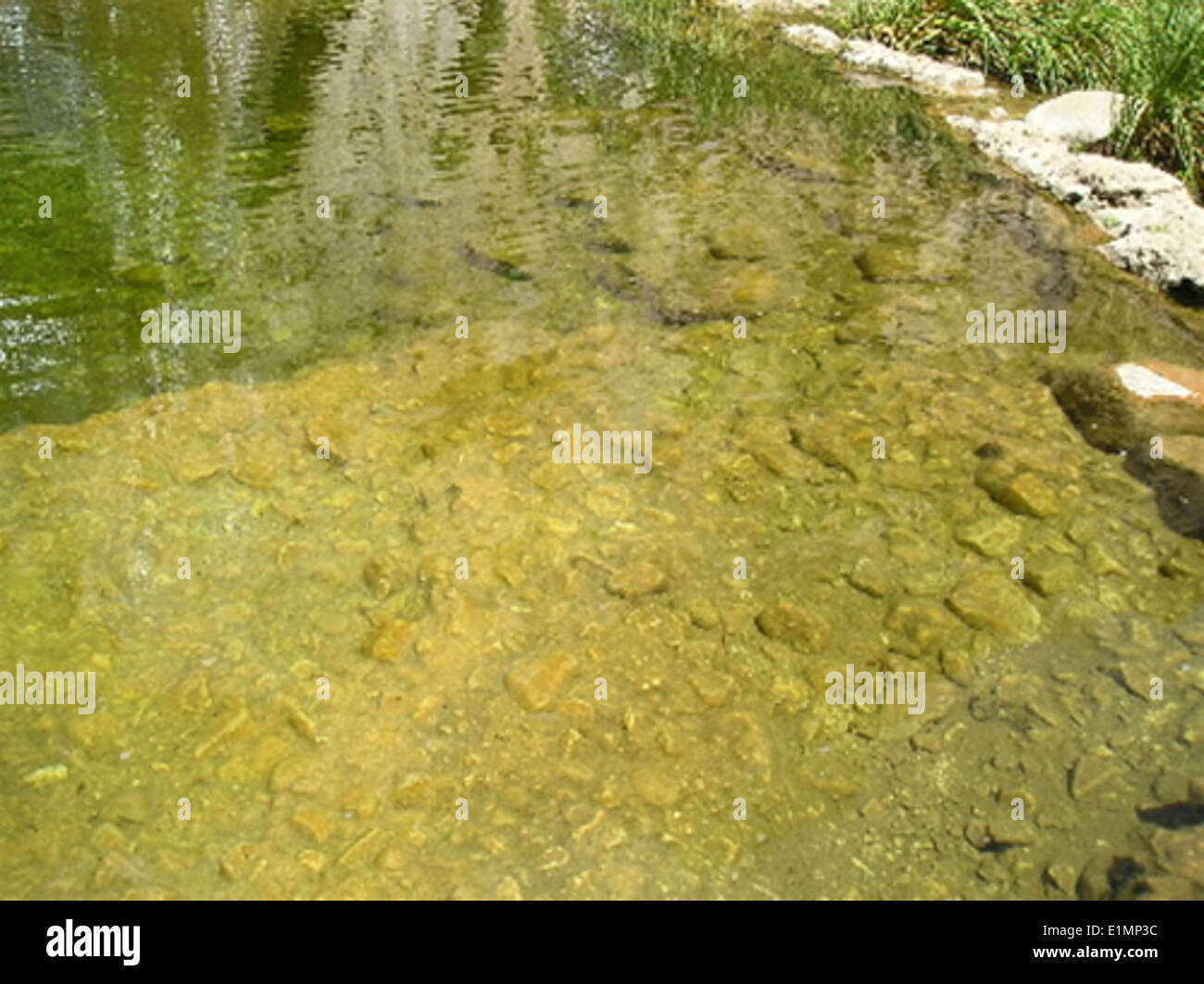 The Cemented Cobbles District in the Guadalupe area of Lincoln National ...