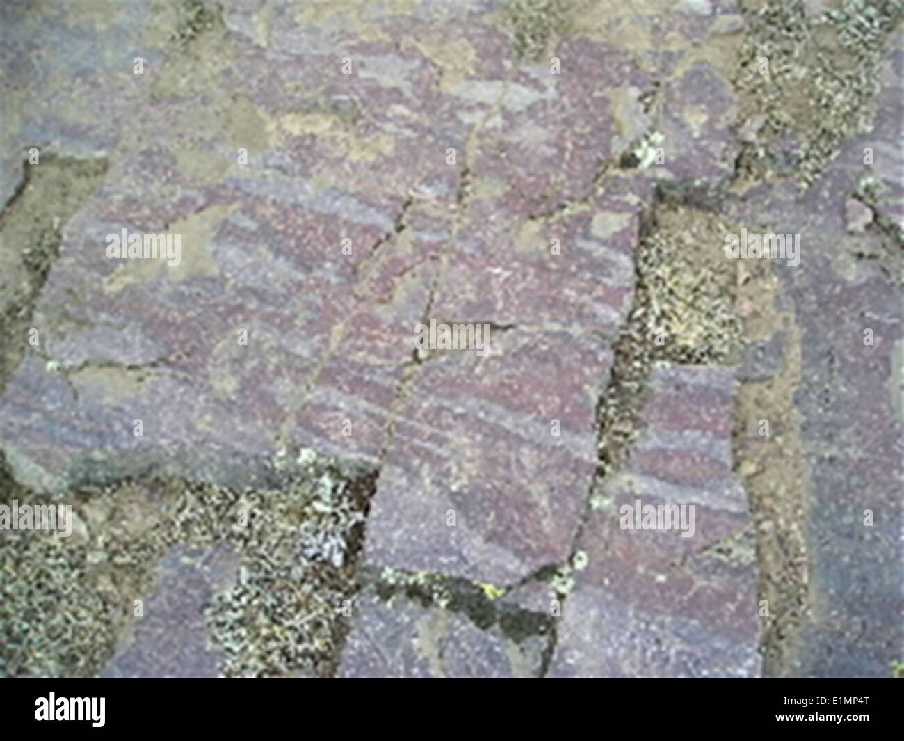 Quartzite is a type of metamorphic rock formed under high pressure and ...