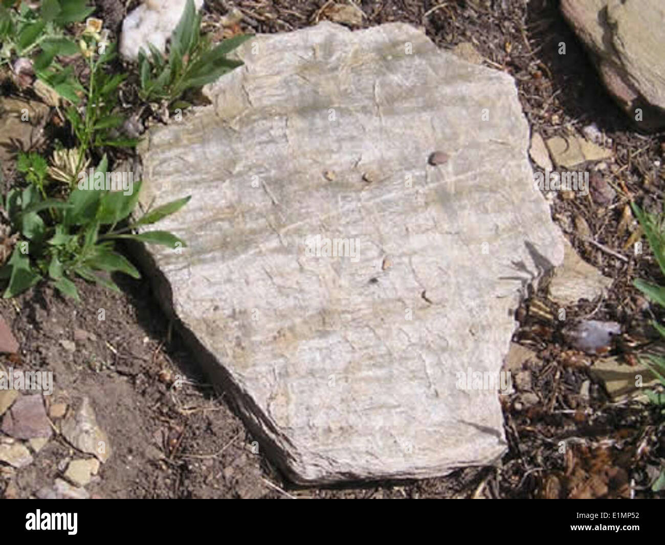 Sedimentary rocks to metamorphic hi-res stock photography and images ...