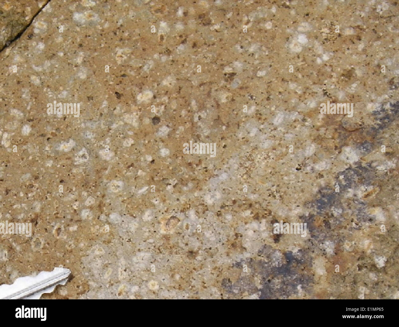 Porphyritic High Resolution Stock Photography and Images - Alamy