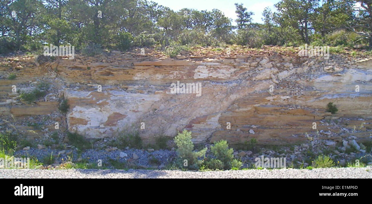 The Fault Gouge Fault in the Lincoln National Forest is an important ...