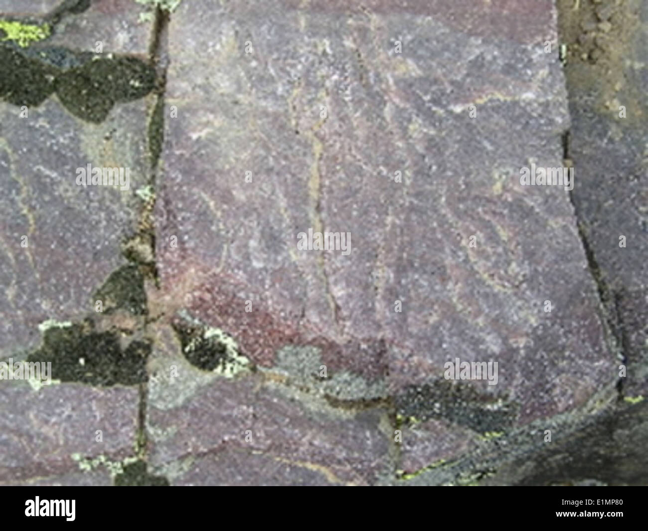 This image illustrates the fracture patterns in quartzite, a ...