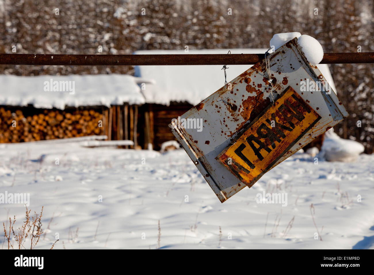 The snow trees hi-res stock photography and images - Alamy