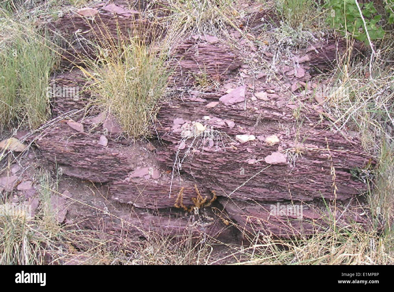 Sedimentary rock layers along hi-res stock photography and images - Alamy